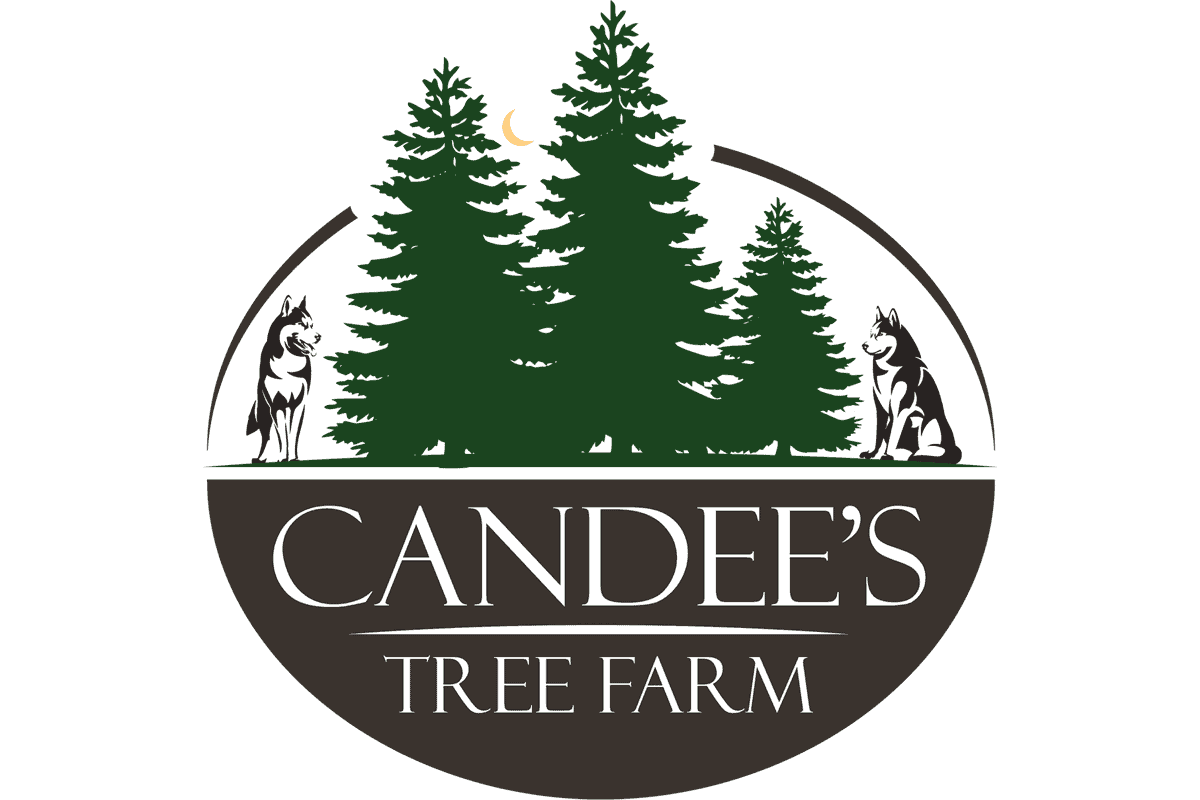Candee's Tree Farm - Visit Oswego County New York