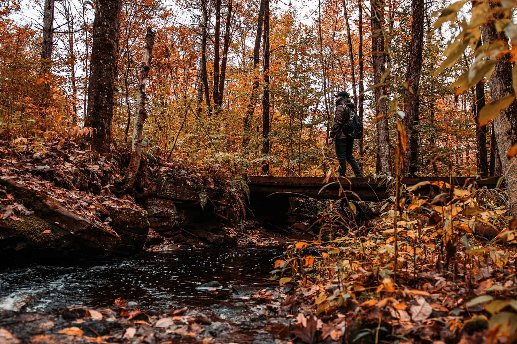 Hiking | Oswego County Hiking Trails | visitoswegocounty.com